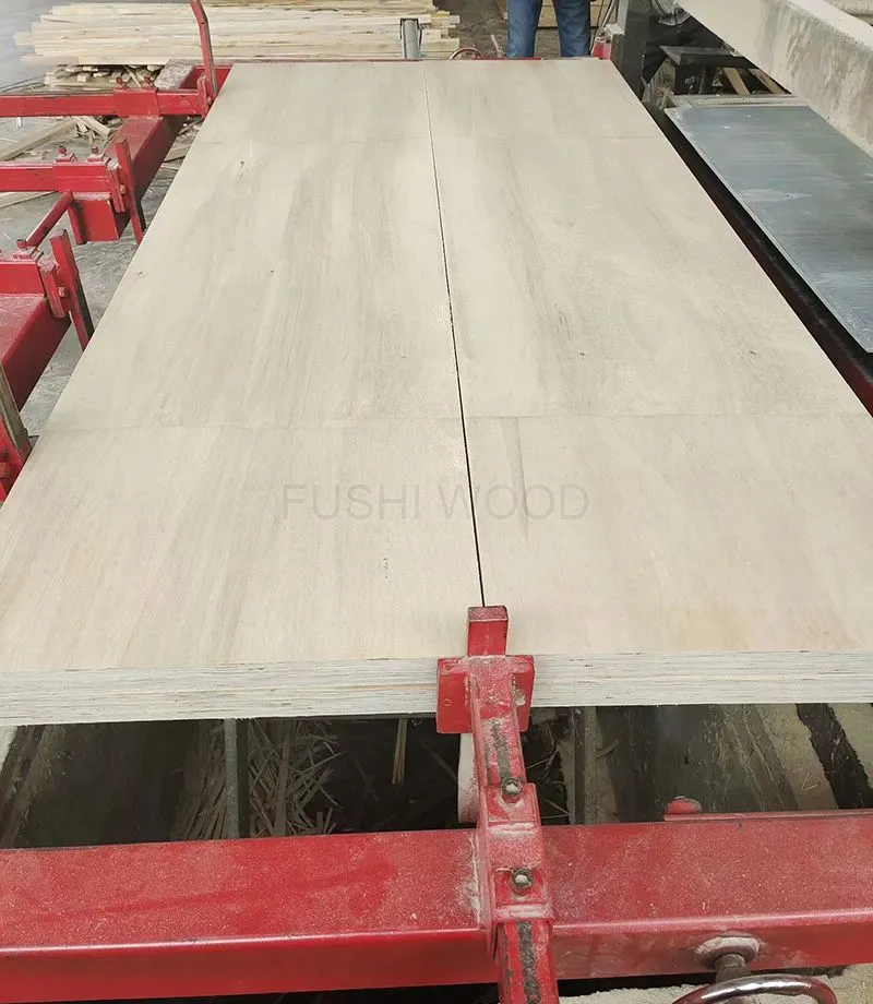 lvl door core