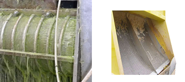 Food and Beverage Industry Filtration Solution